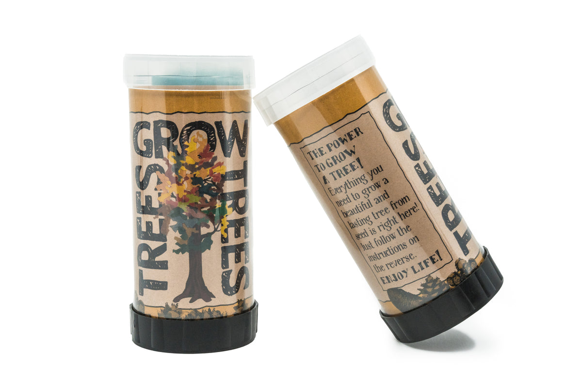 Olive Tree | Mini-Grow Kit – The Jonsteen Company