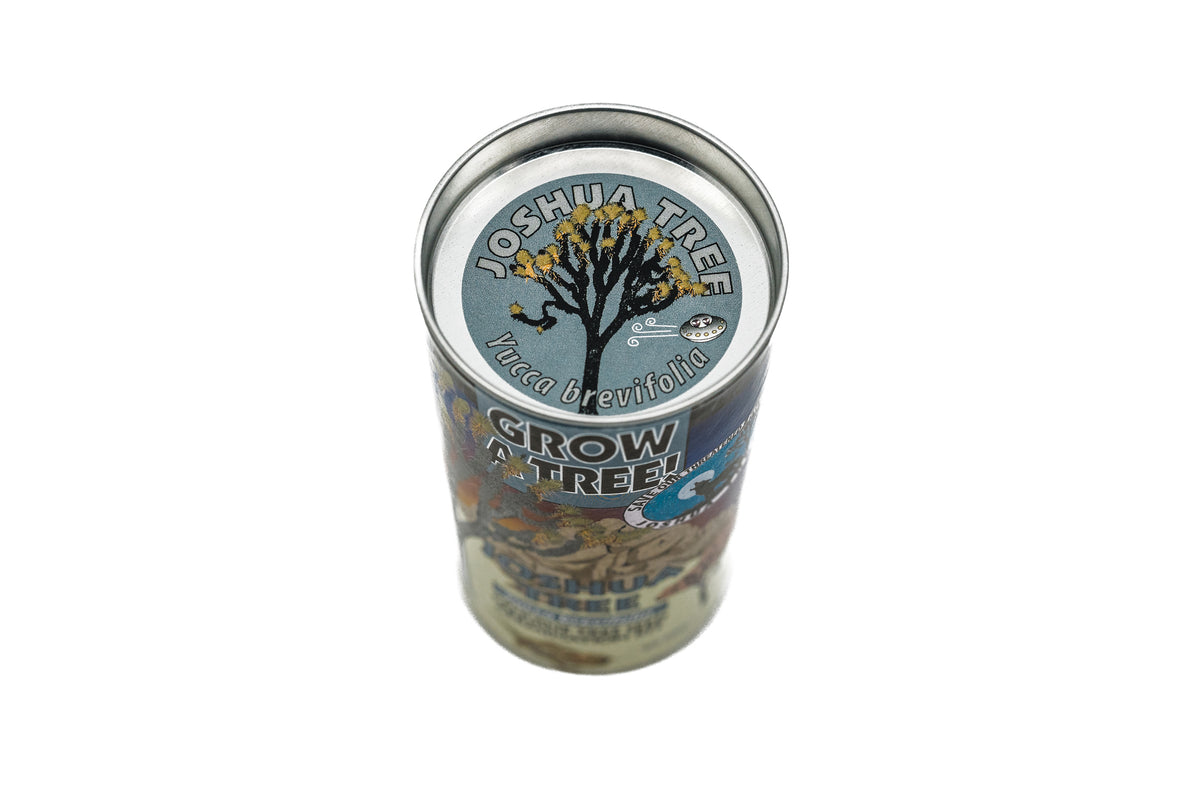 Joshua Tree | Seed Grow Kit – The Jonsteen Company