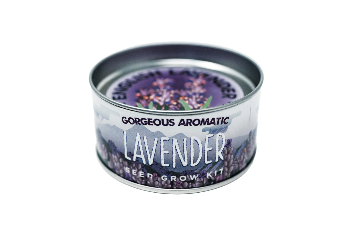 Lavender | Flower Seed Grow Kit – The Jonsteen Company