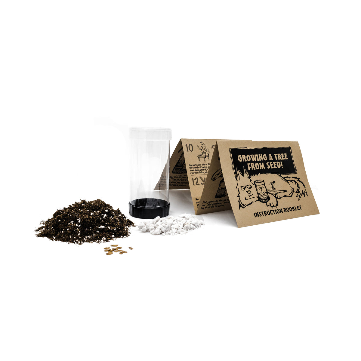 Canada Red Maple | Seed Grow Kit – The Jonsteen Company