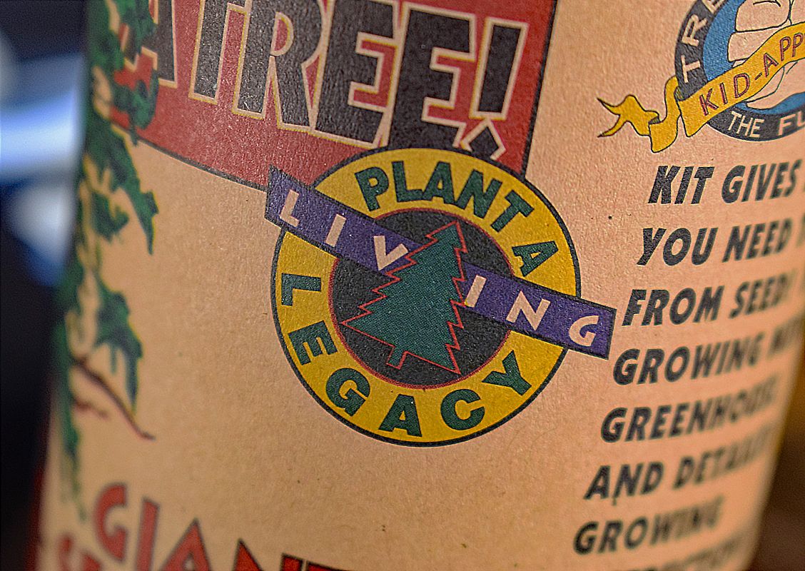 Giant Sequoia | Seed Grow Kit – The Jonsteen Company